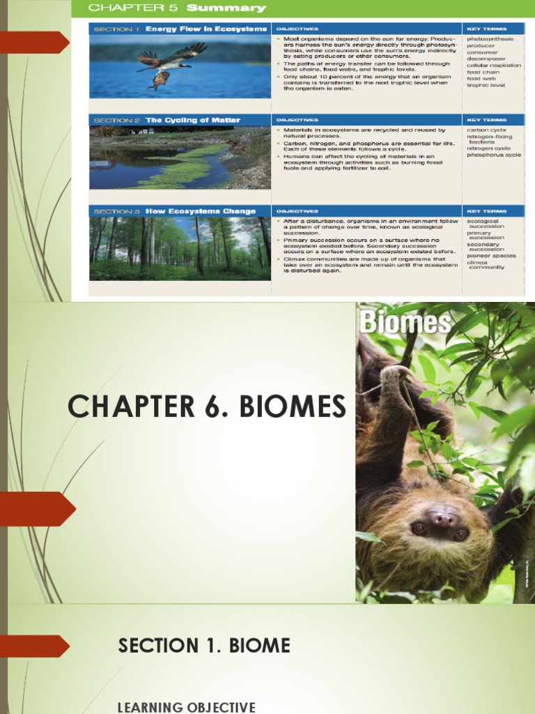 Chapter 6. Biomes | PDF | Rainforest | Forests