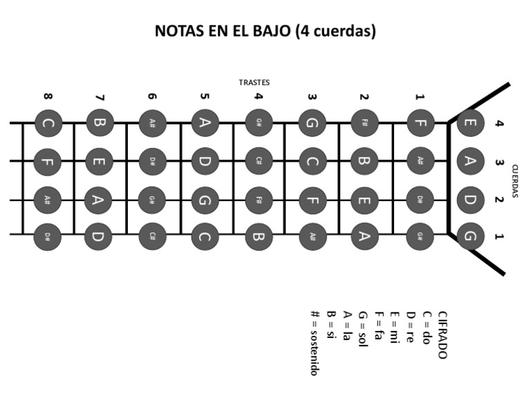 Bajo Notas Diapason | PDF