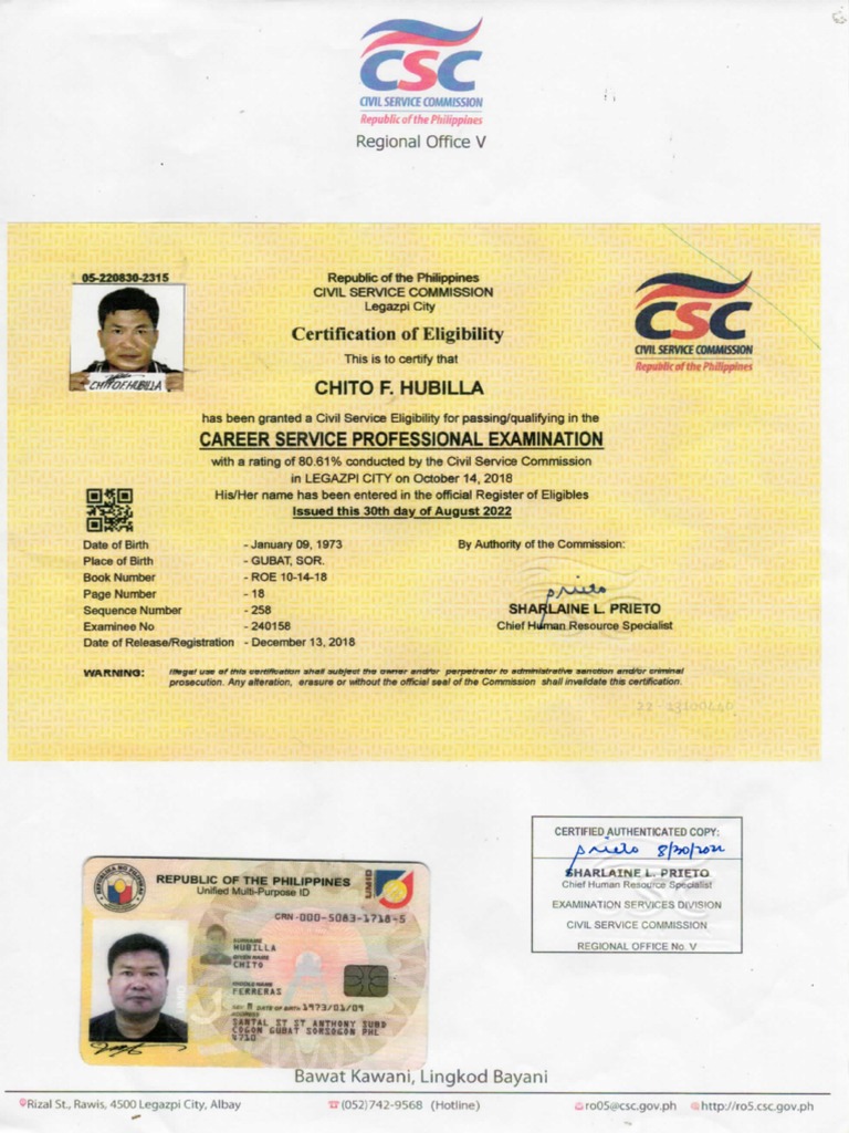 Civil Service Professional | PDF