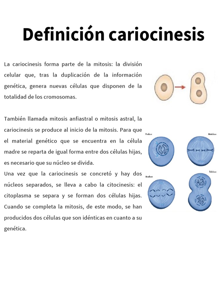Definición Cariocinesis | PDF | Salud y bienestar | Ciencia y matemáticas