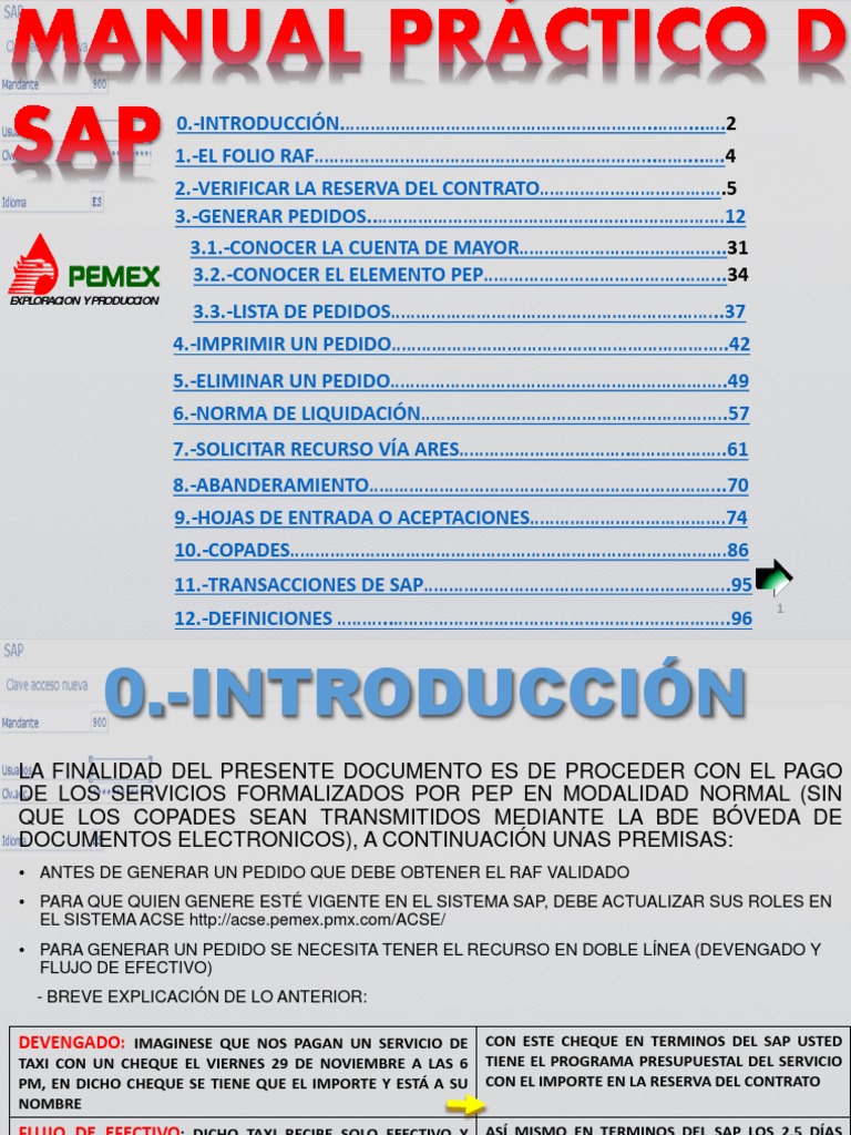 Manual Práctico de Sap | PDF | Dinero | Economias