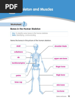 Cambridge Grade 2 Science Worksheets | PDF | English As A Second Or ...