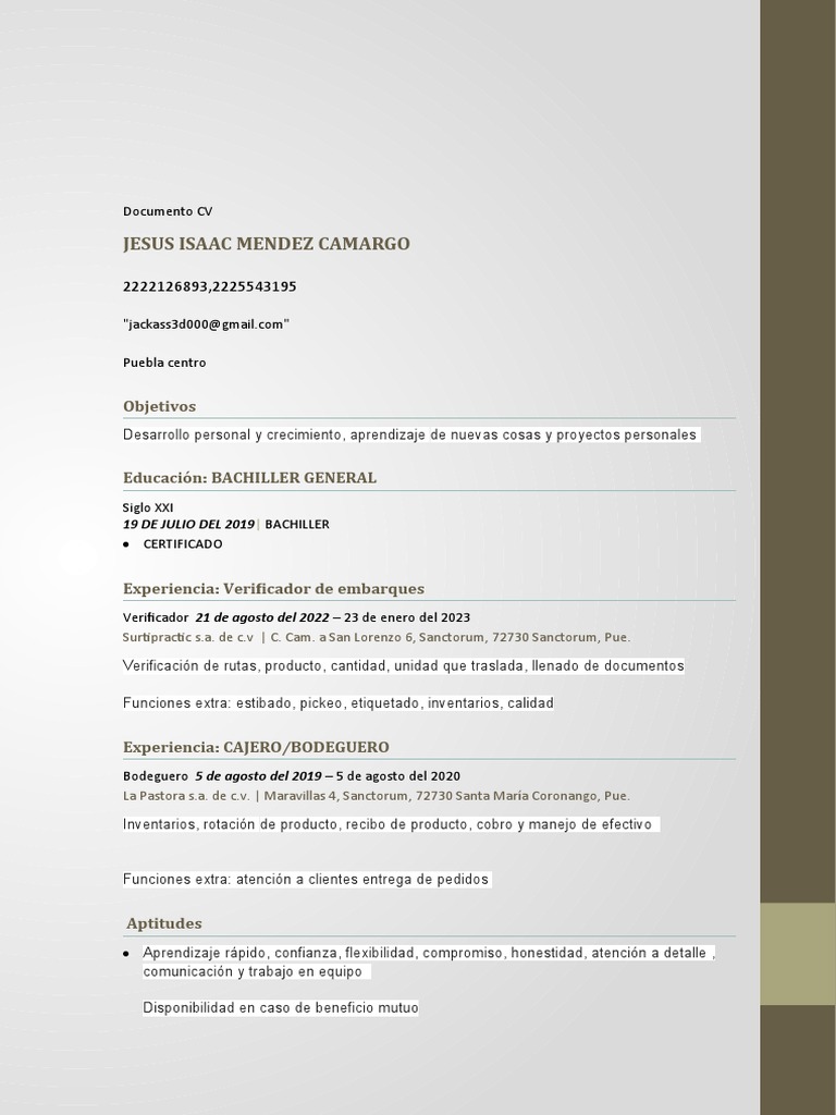 Documento CV | PDF