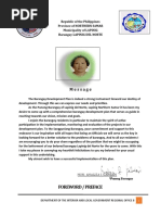 Barangay Issues and Concerns | PDF