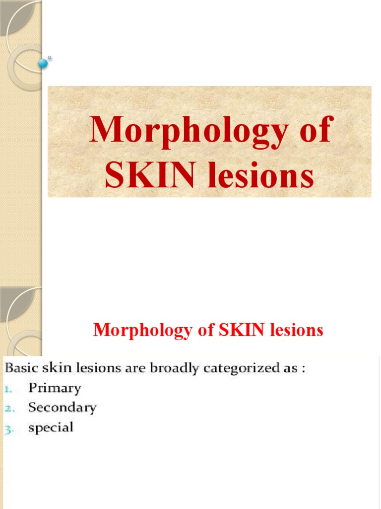 Morphology of SKIN Lesions | PDF