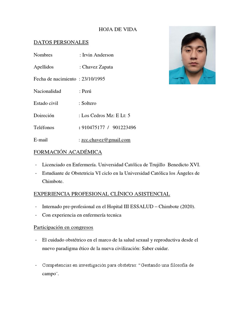CV Chavez Zapata Irvin | PDF