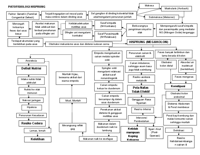 Patofisiologi_Hisprung | PDF