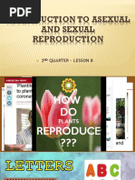 To Study The Transverse Section of Clove Buds | PDF | Organisms ...