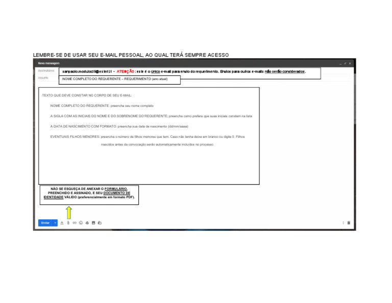 Modelo Preenchido Requerimento | PDF
