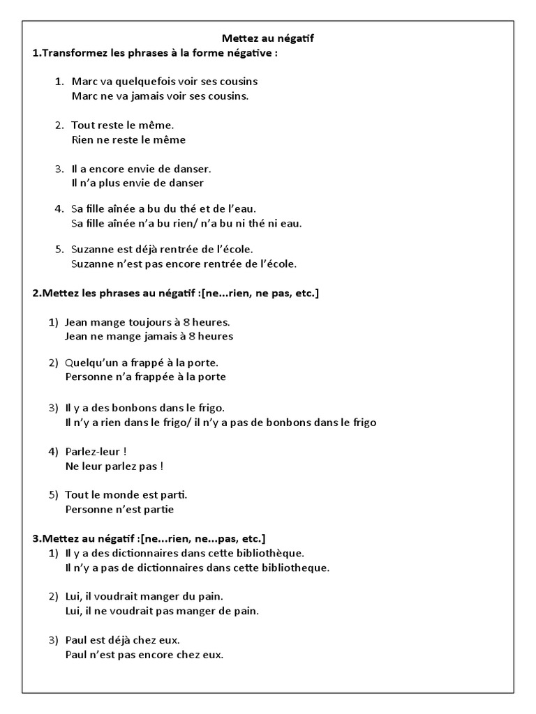 Mettez Au Négatif - Questions and Answer Key | PDF