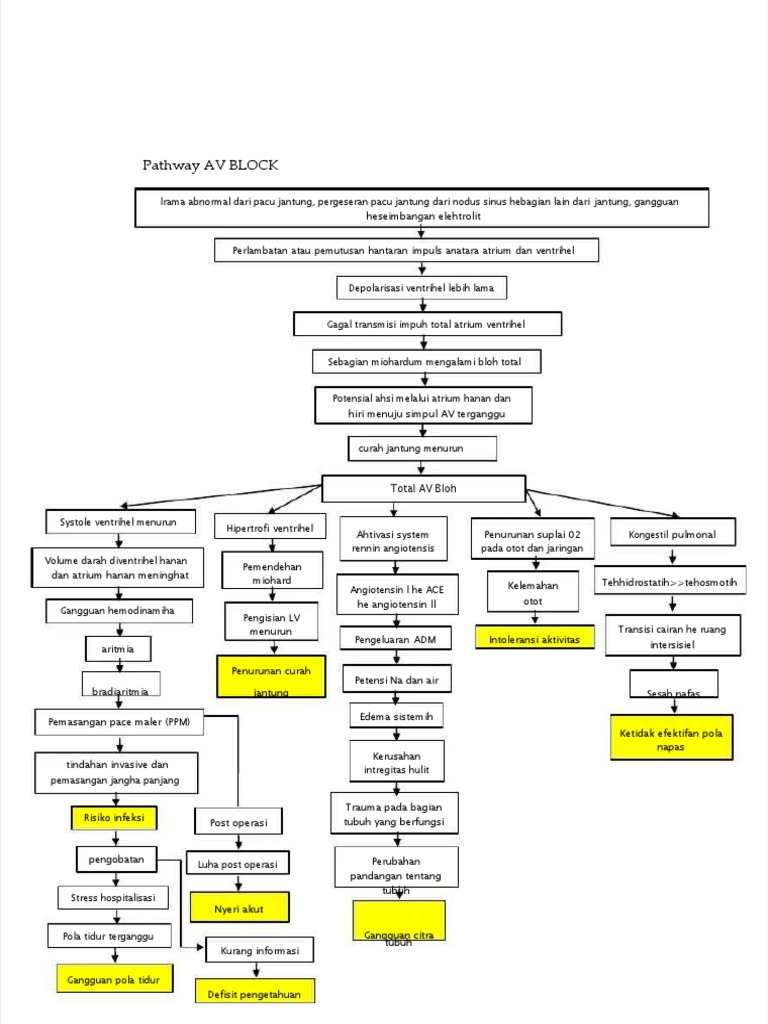 AV Blok Total dan Implikasinya bagi Kesehatan Pasien | PDF