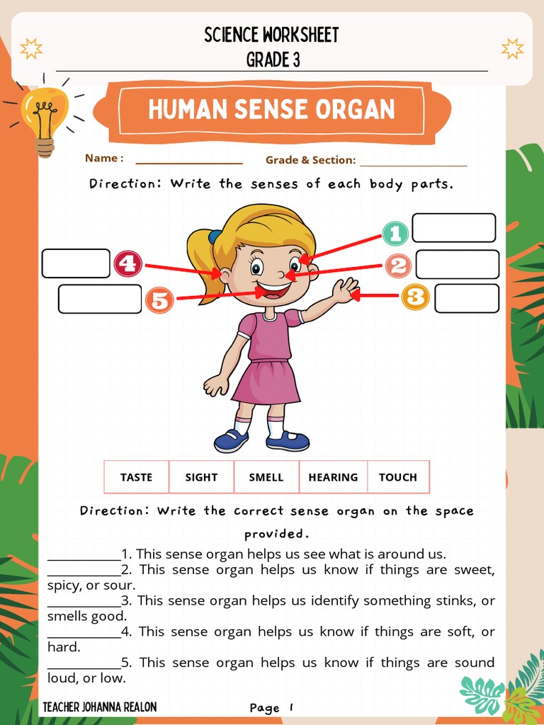 Science 3 Worksheet - Realon, J | PDF