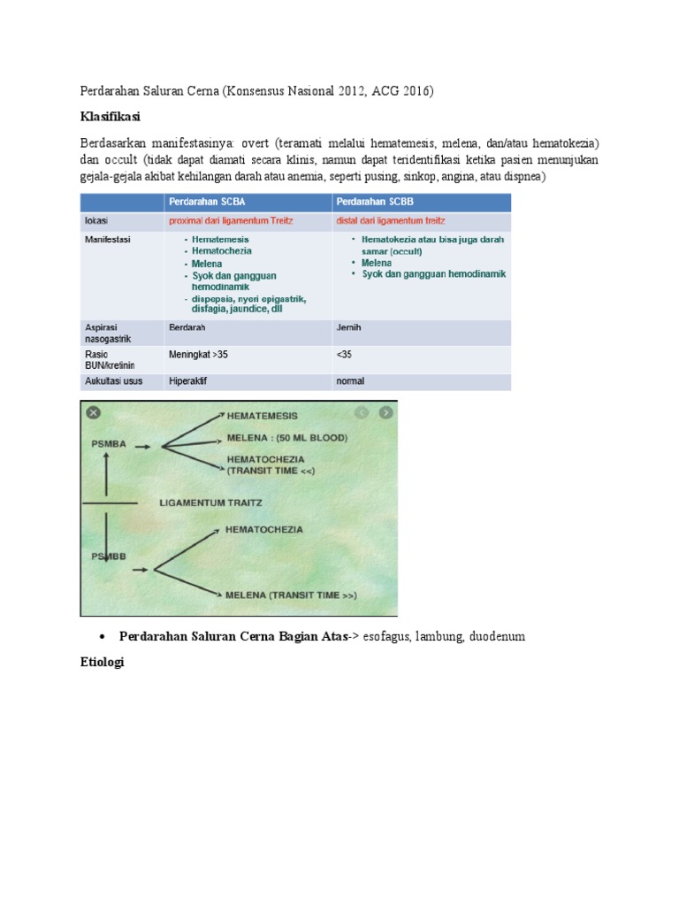 Perdarahan Saluran Cerna | PDF