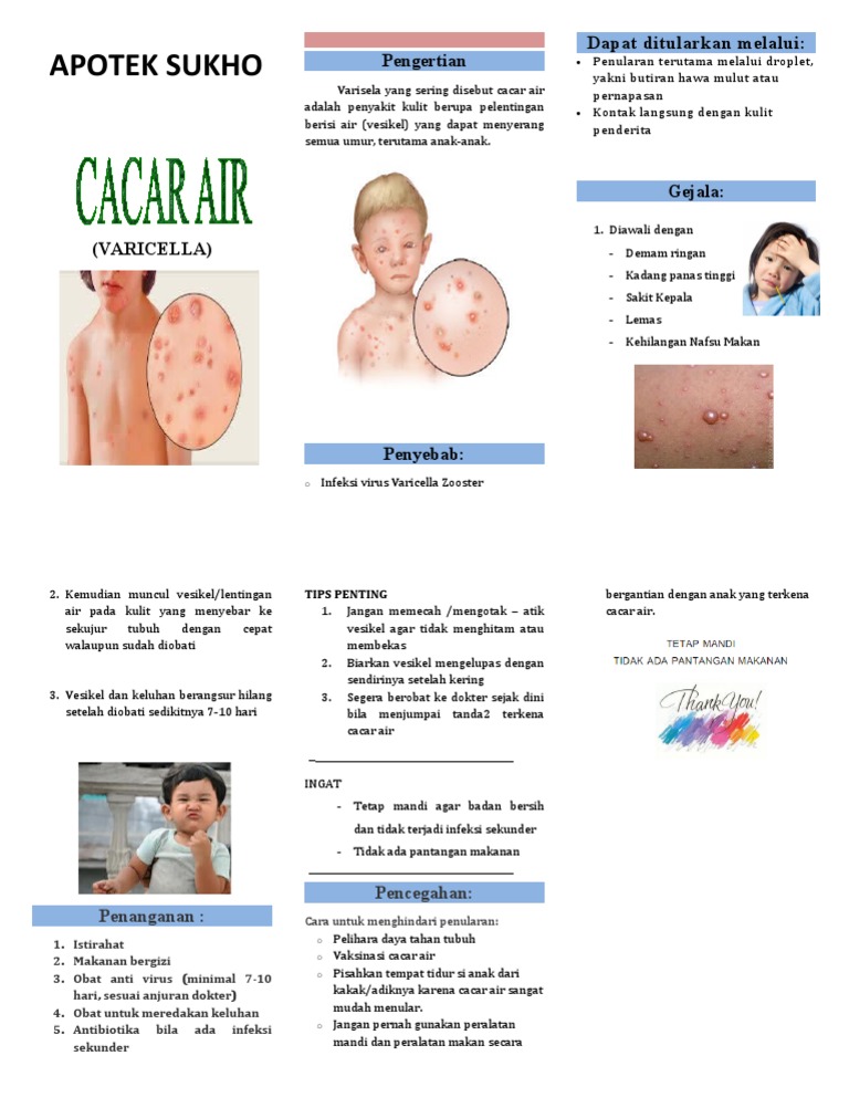 Cacar Air | PDF