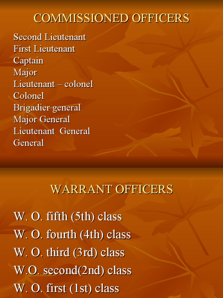 Romanian Military Ranks | PDF
