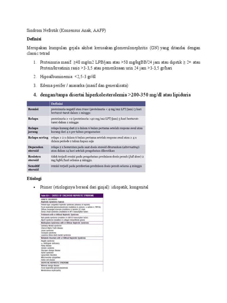 Sindrom Nefrotik | PDF