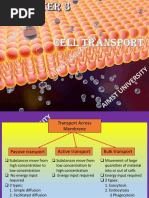 Cell Transport Concept-Map | PDF | Membrane Biology | Life Sciences