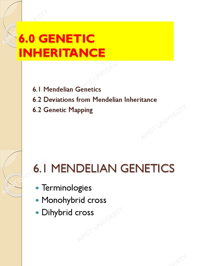 CHP 6N - Genetic Inheritance | PDF | Dominance (Genetics) | Allele