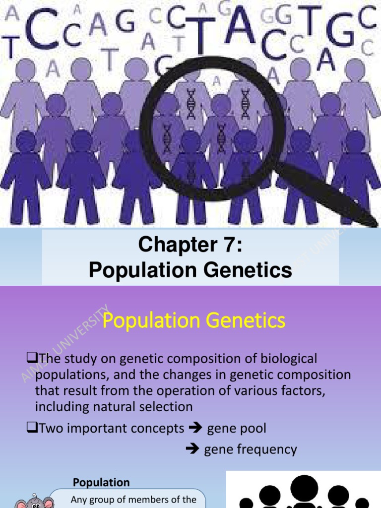 CHP 7-Population Genetics | PDF | Dominance (Genetics) | Allele