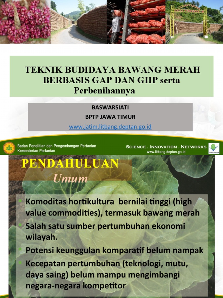 Teknik Budidaya Bawang Merah Berbasis GAP Dan GHP Serta Perbenihannya-BPTP JATIM | PDF