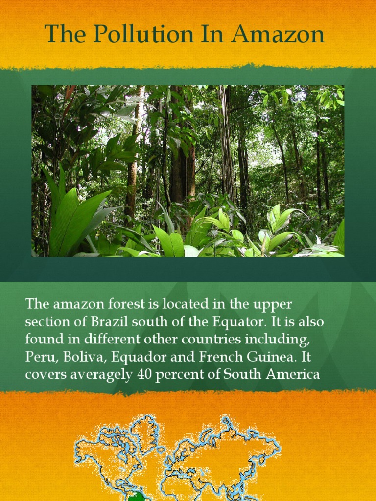 Amazon Rainforest Case Study | PDF