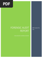 Forensic Audit Report | PDF | Financial Audit | Fraud