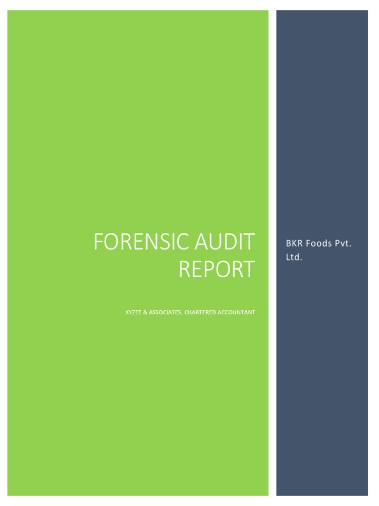 Forensic Audit Report of BKR Foods Pvt. LTD | PDF | Financial Audit | Audit