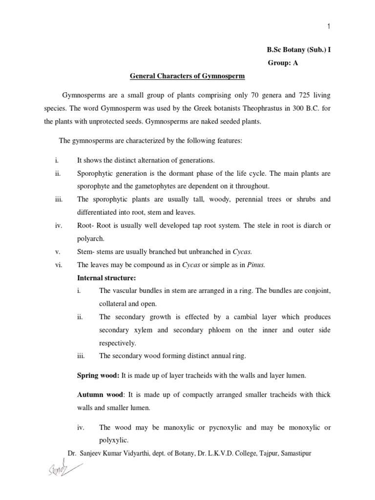 Gymnosperm Characteristics Guide | PDF | Morphology (Biology ...