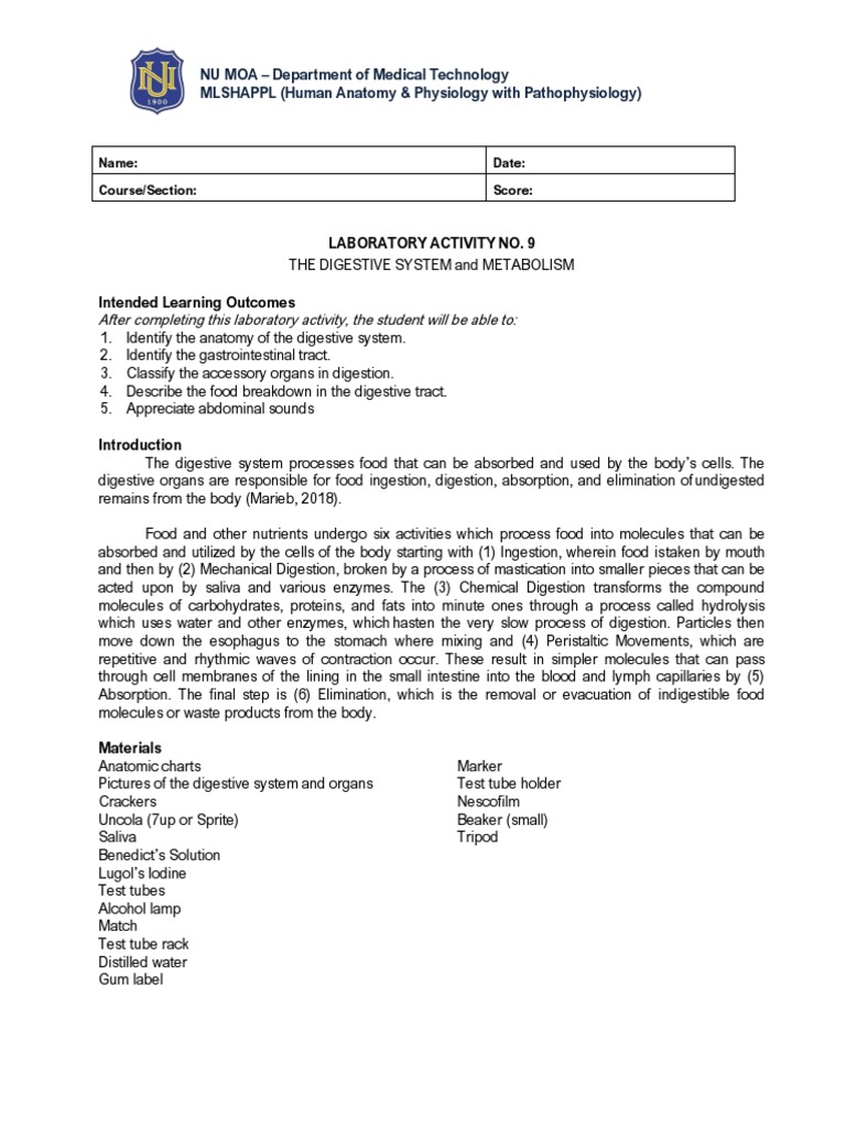 Laboratory 9 Digestive System | PDF | Digestion | Human Digestive System