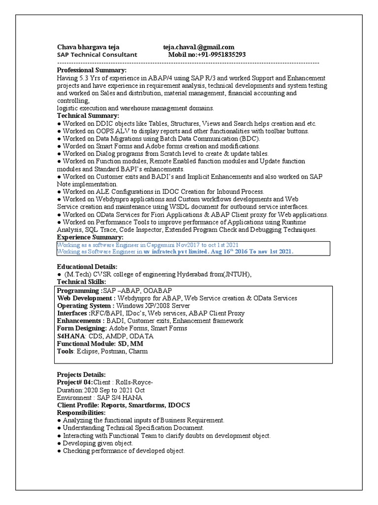 ABAP Profile | PDF | Software Engineering | Computing