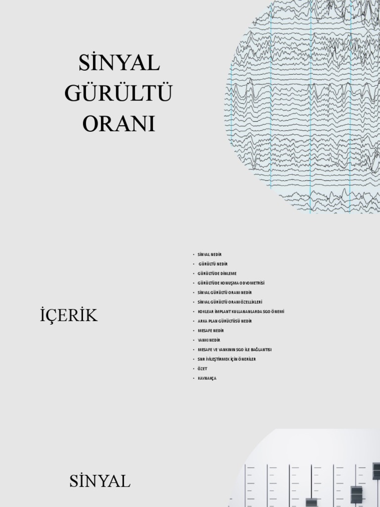 Sunum REHABİLİTASYON | PDF