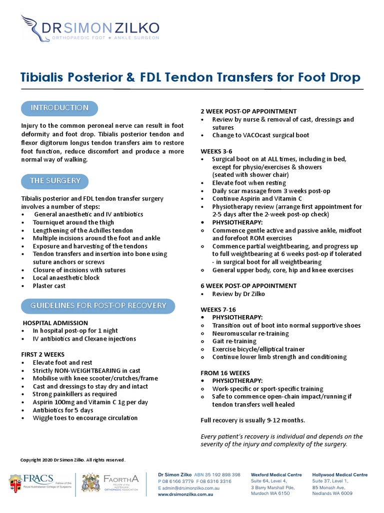 Post Op Tibialis Posterior FDL Tendon Transfers July 2020 | PDF | Foot ...