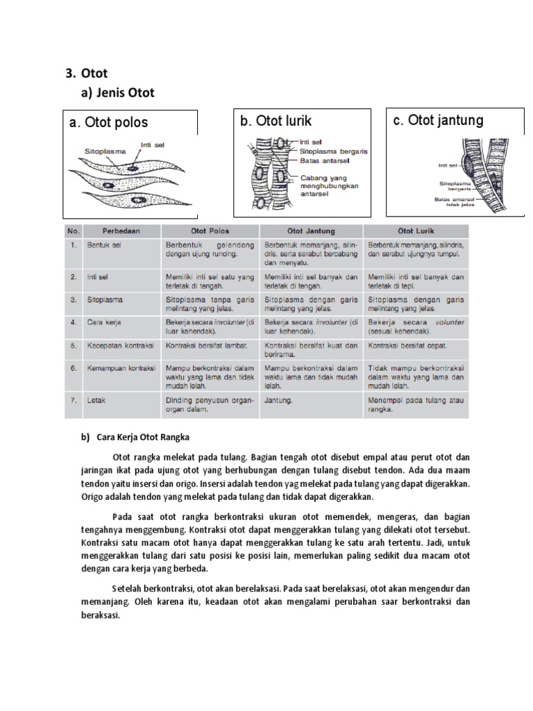 Bahan Ajar Sistem Gerak Manusia 2 | PDF Bahan Ajar Sistem Gerak Manusia 2 | PDF