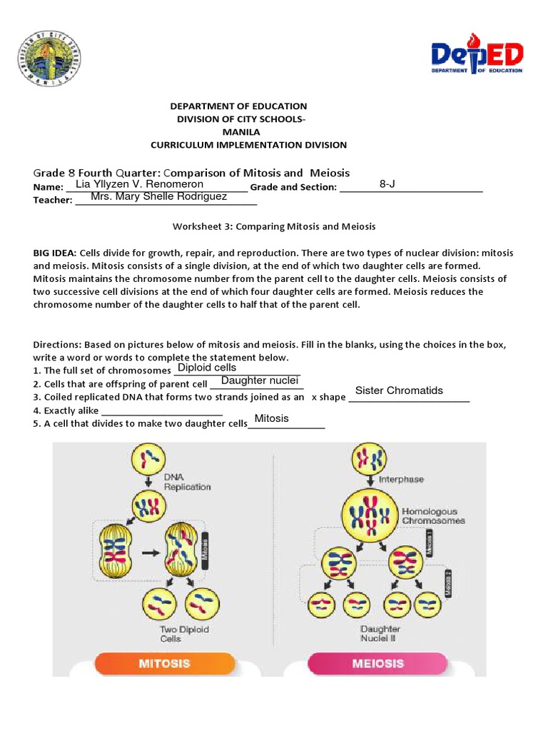 G8 Q4 W2 Comparing Mitosis and Meiosis | Download Free PDF | Meiosis ...