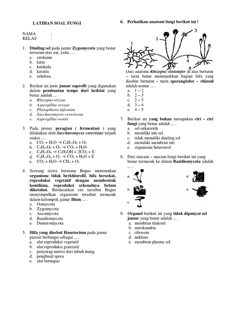 Latihan 1 Fungi | PDF