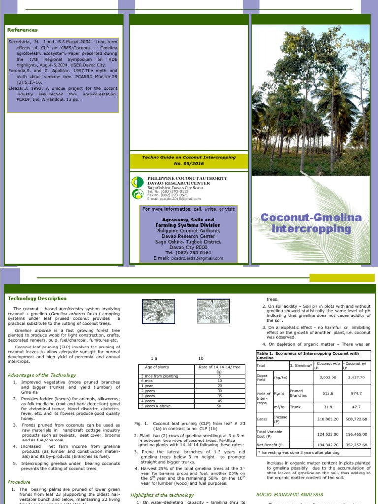 AS Coconut-Gmelina | PDF | Coconut | Pruning
