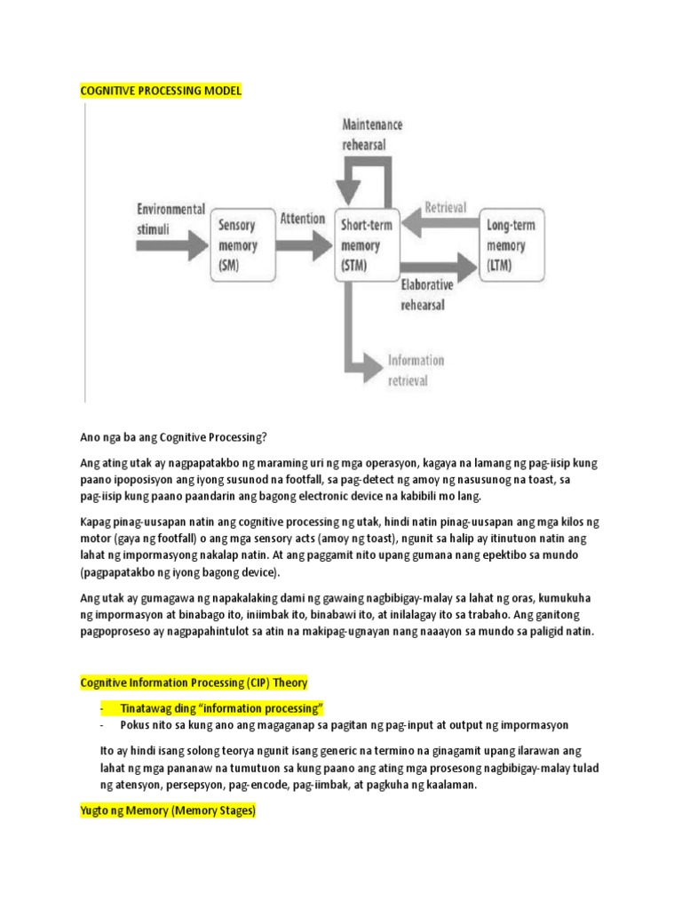 A.1 - Cognitive Processing Model | PDF