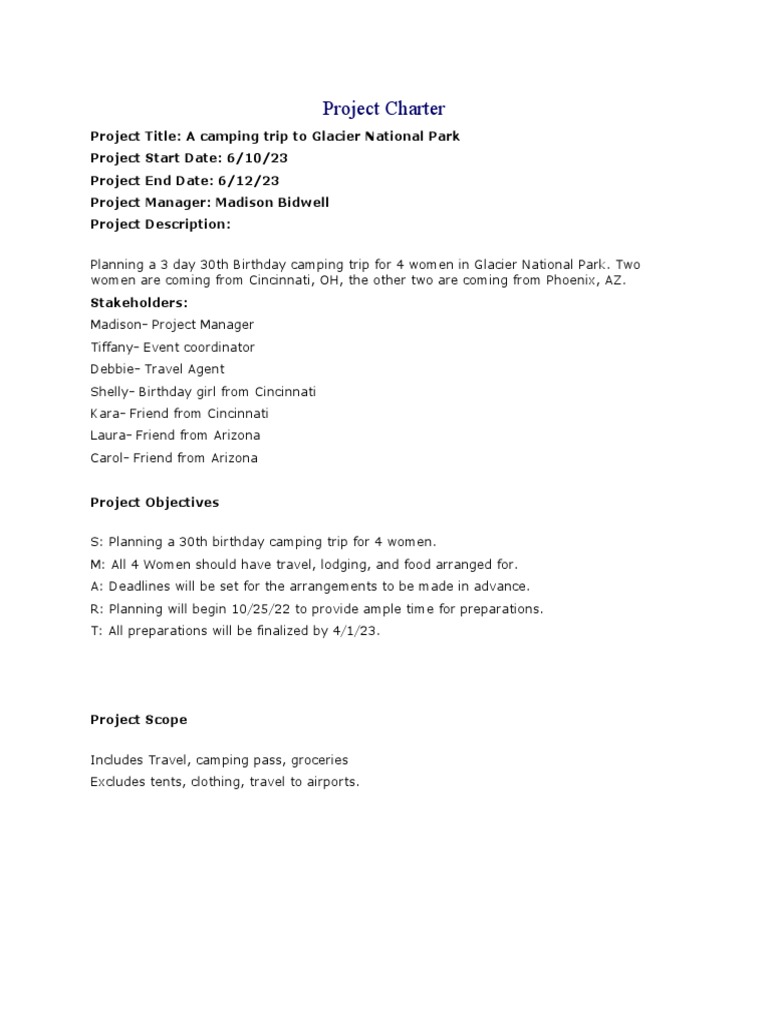 PMG Project Charter | PDF