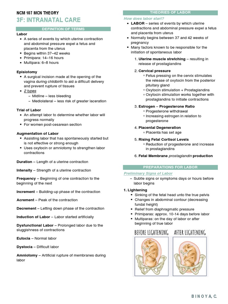 THEORIES OF LABOR AND CHILDBIRTH PROCESS | PDF | Childbirth | Uterus