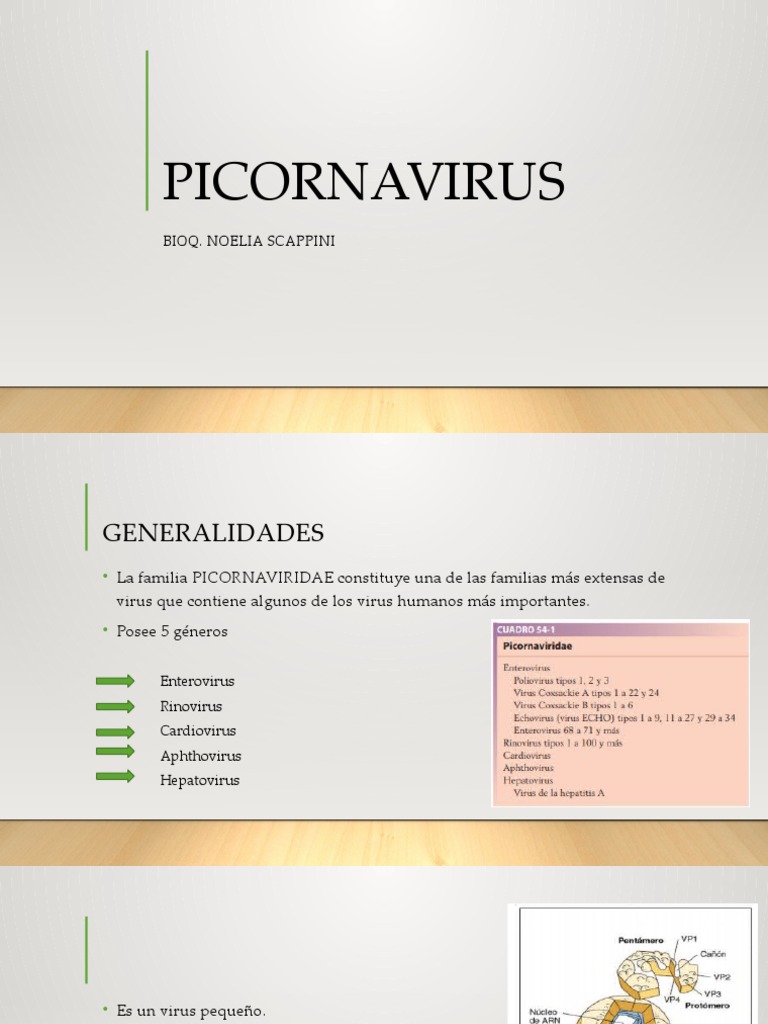 Picornavirus: Características generales y principales géneros causantes ...
