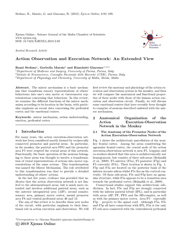 Action Observation and Execution Network: An Extended View | Download Free PDF | Parietal Lobe ...