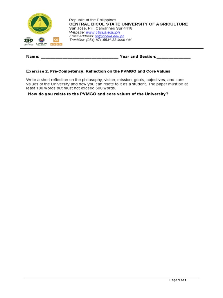 Week 1. Exercise 2 Reflection On The PVMGO | PDF