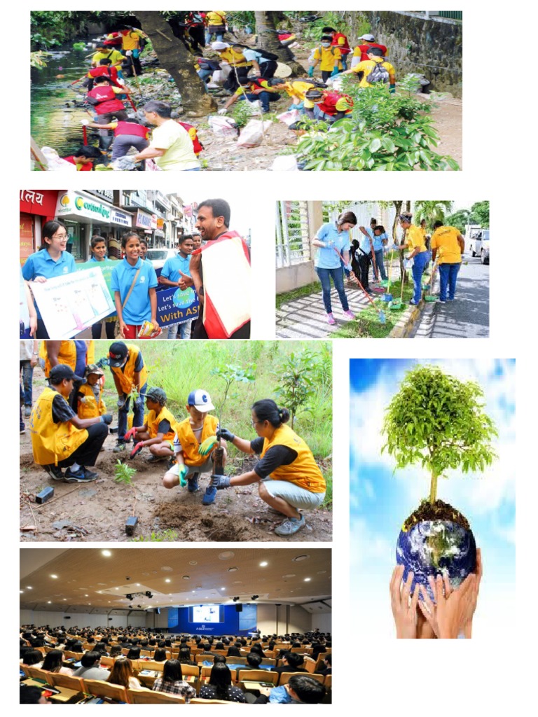 Environment Collage | PDF