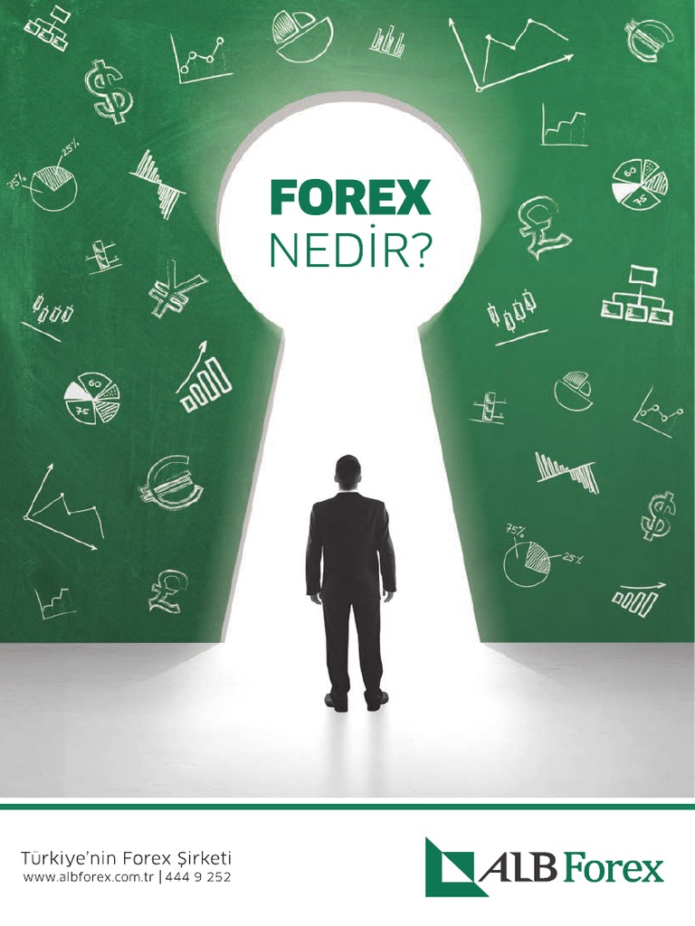 Forex Bilgi - ALB | PDF