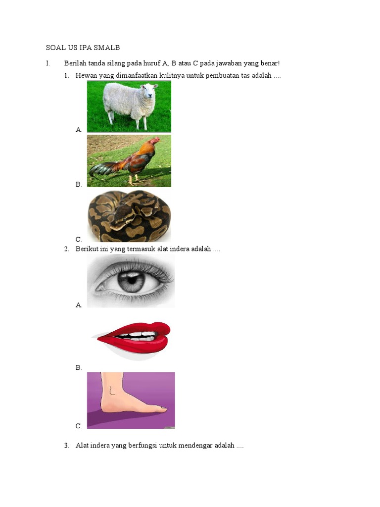 Soal Us Ipa Smalb 2021-2022 | PDF