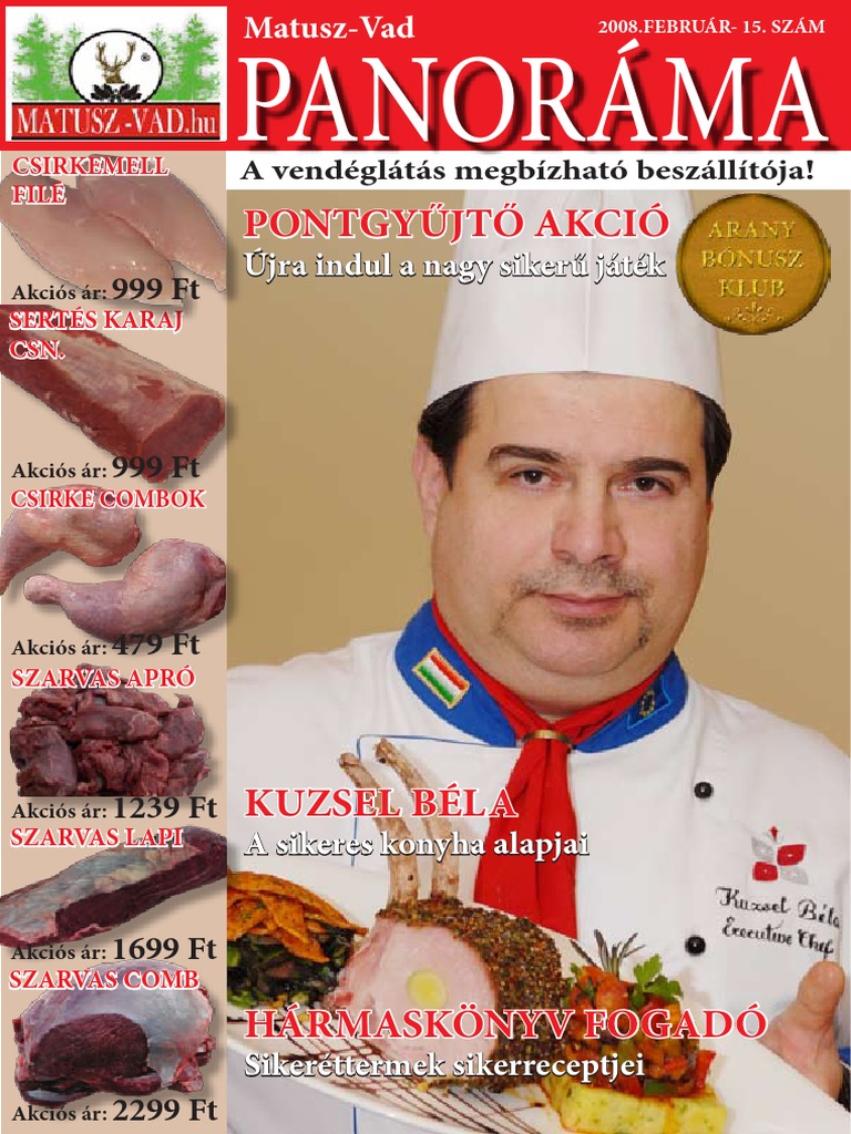 Matusz Vad - Panoráma Magazin 2008 Február | PDF