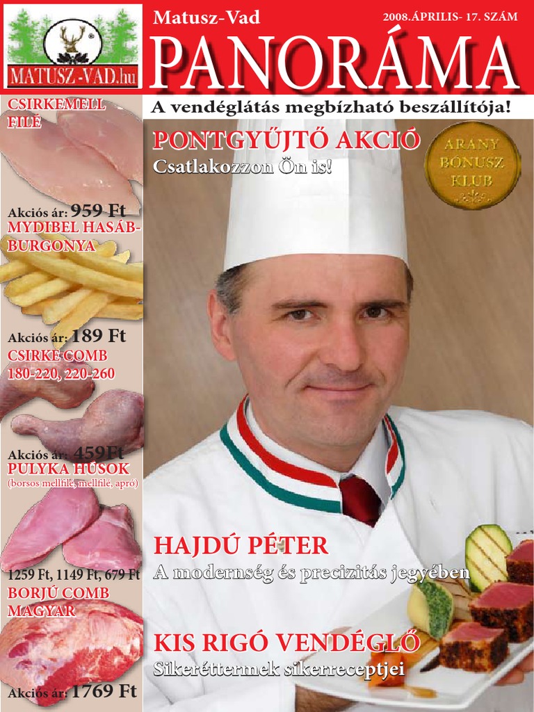 Matusz Vad - Panoráma magazin 2008 április | PDF