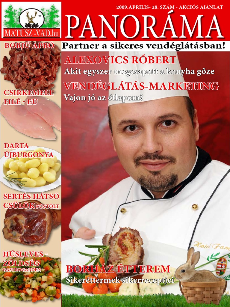 Matusz Vad - Panoráma Magazin 2009 Április | PDF