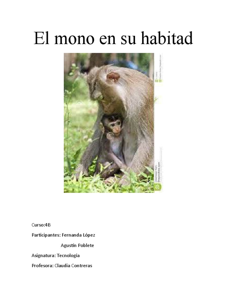 El Mono en Su Habitad | PDF