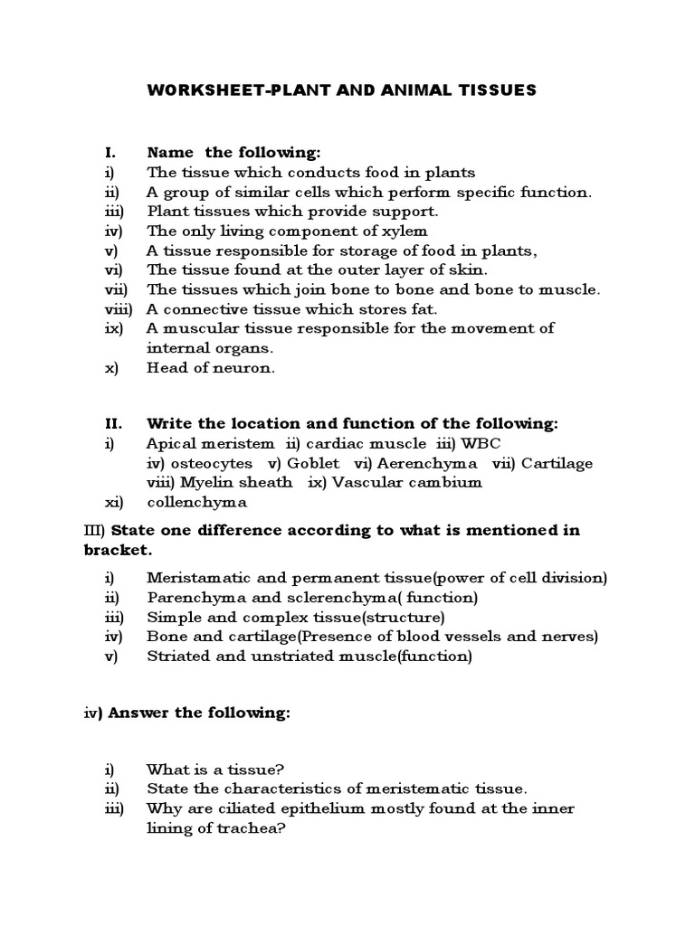 WORKSHEET-9th Tissues | PDF